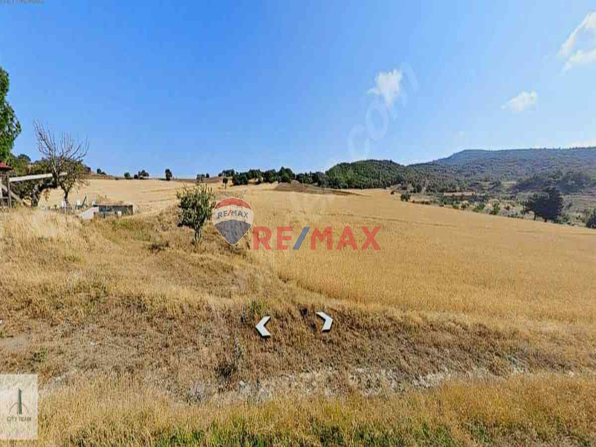 ÇORUM MERKEZ YEŞİLDERE 7.366 M2 SATILIK KÖYE YAKIN TARLA