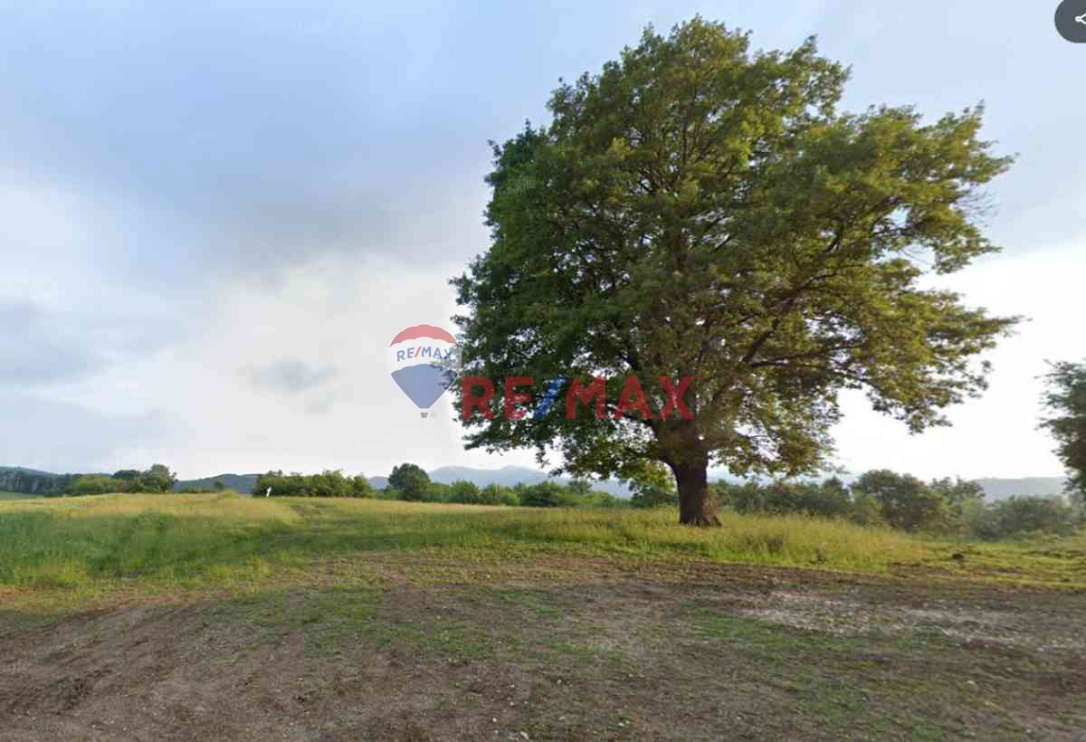 YALOVA KADIKÖYDE STRATEJIK TARLA YATIRIMI
