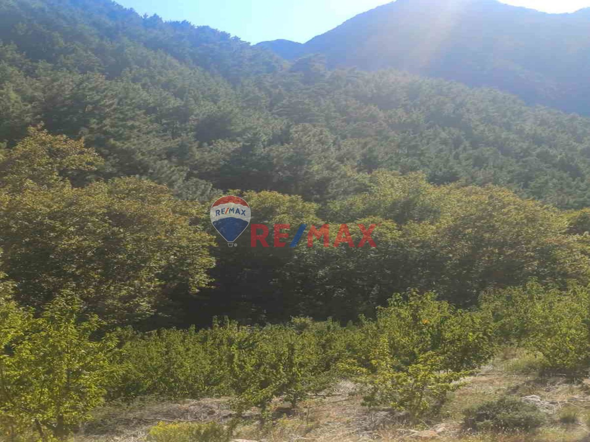 MANAVGAT BURMAHAN'DA 725 M2 TEK TAPU SATILIK TARLA