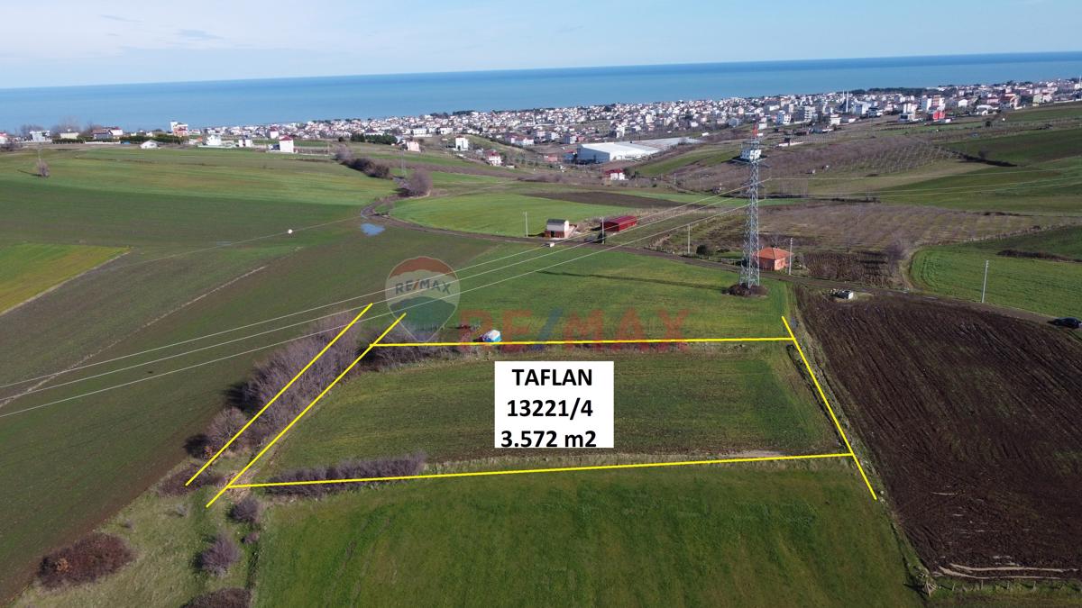 TAFLAN HANIMTEPEDE DENİZ MANZARALI SATILIK TARLA