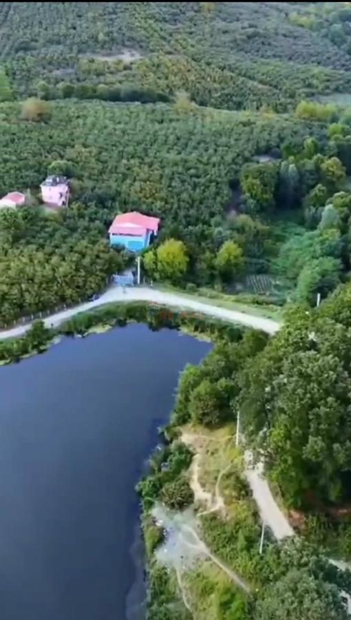 SAKARYA FERİZLİ İKİ ADET MÜSTAKİL EV VE FINDIK BAHÇESİ