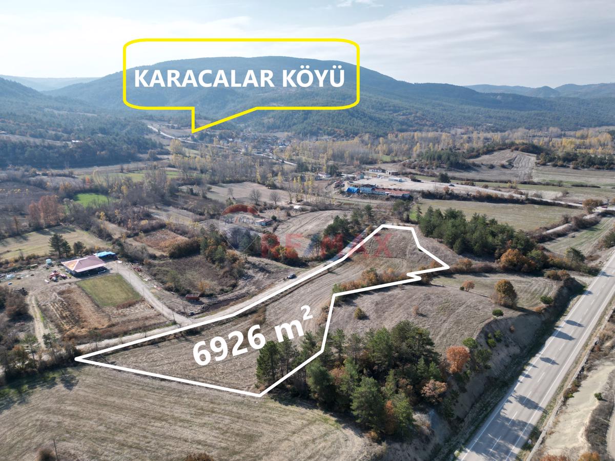 REMAX MAVİ'DEN GÖYNÜK'DE RESMİ YOLA 220 M CEPHELİ 6926 M² TARLA