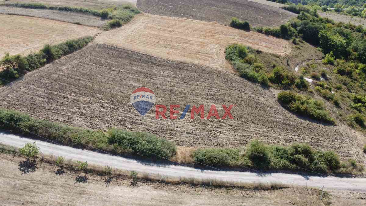 YALOVA MERKEZ SUGÖREN'DE ANA YOLA YAKIN SATILIK 7.520M² TARLA