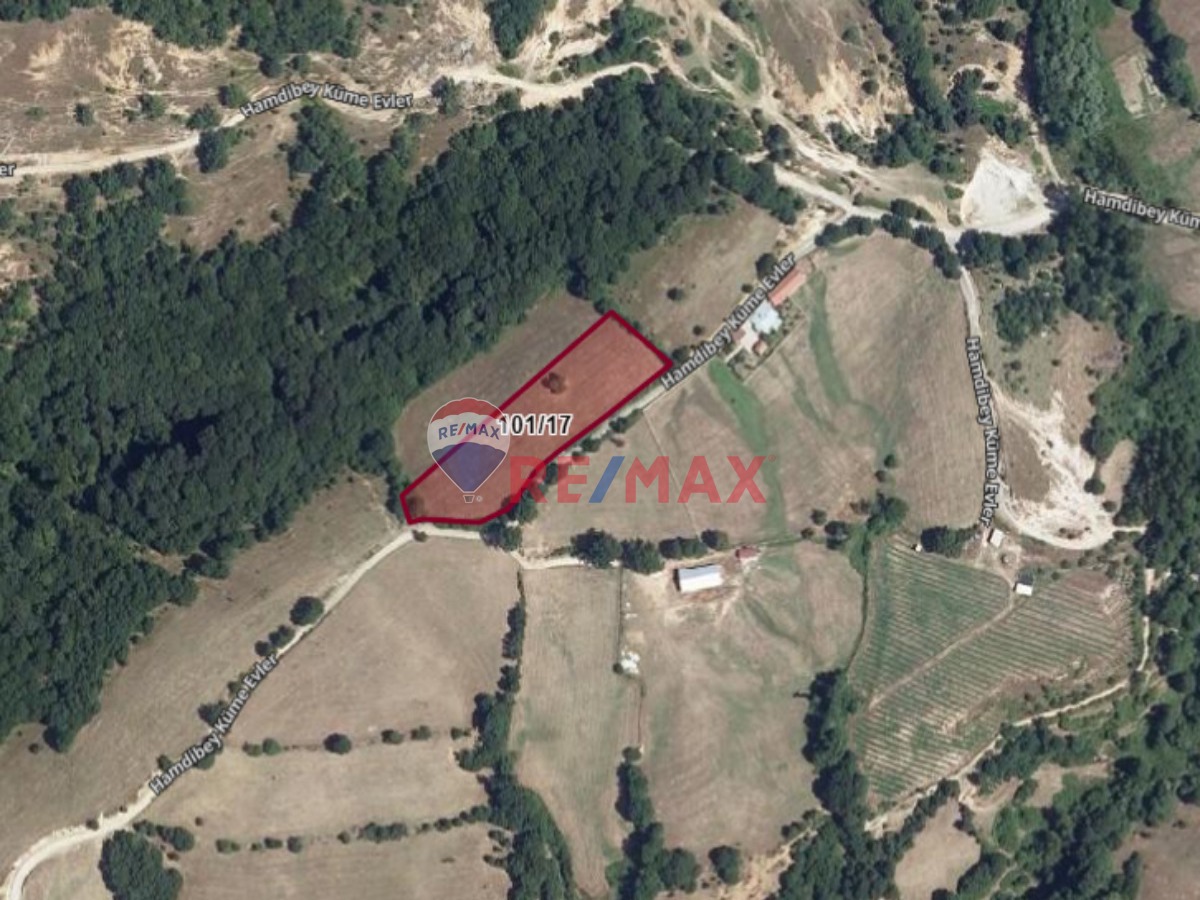 KIRKLARELİ DEMİRKÖY HAMDİBEYDE TEK TAPU SATILIK TARLA